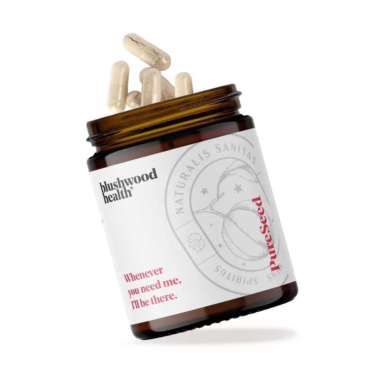 Blushwood Berry Seed Extract EBC 46 - 90 Vegan Capsules - Optimal 10:1 ...